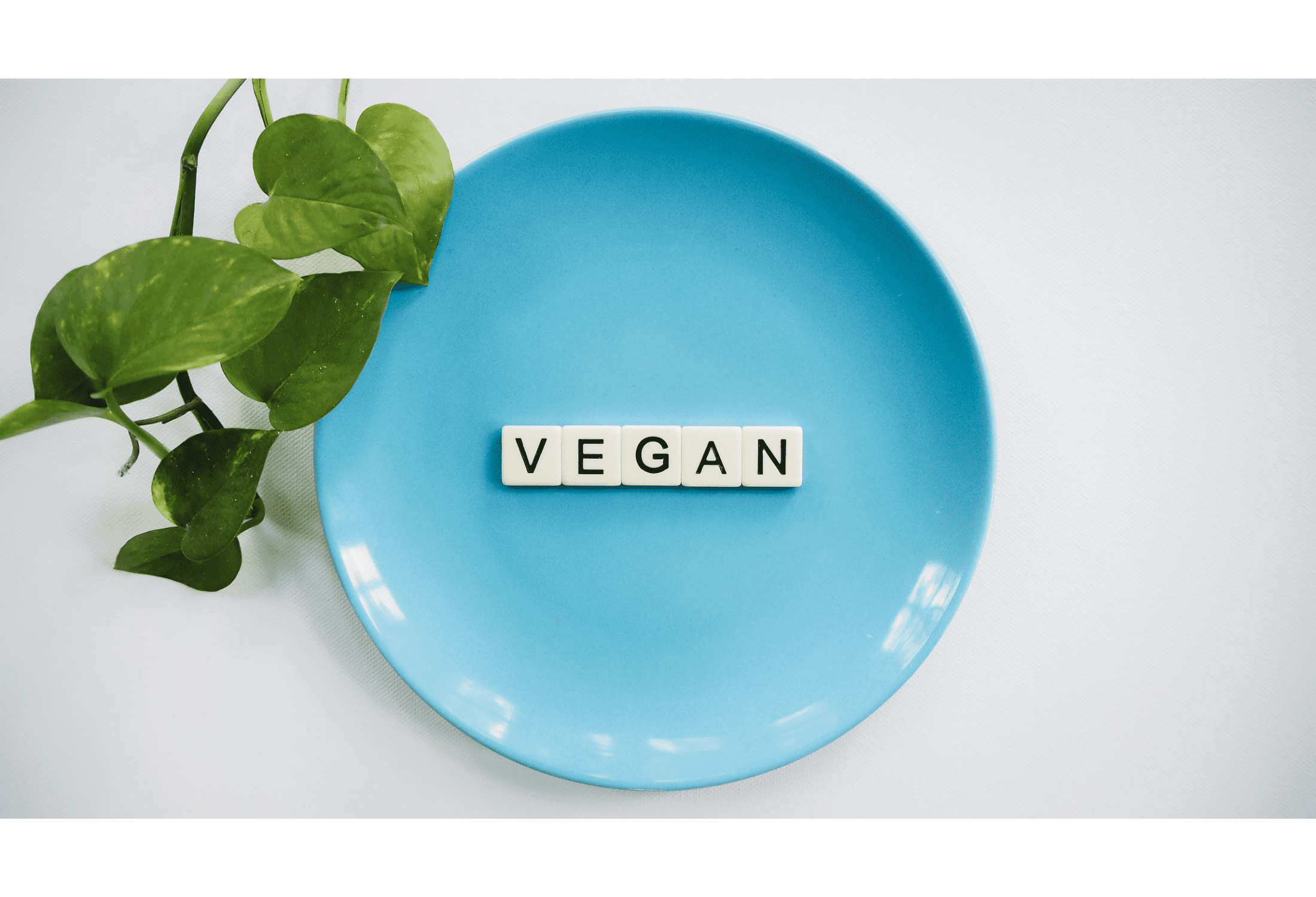 Let's Talk Vegan and more - Average Vegan Dad